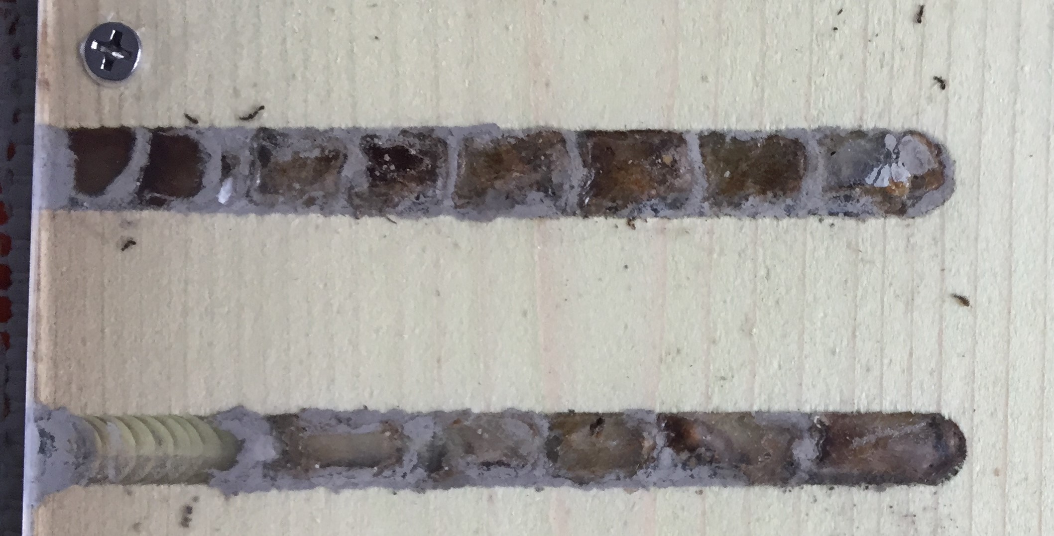 Provide water – The Corner Pollinator Garden and Wildlife Habitat