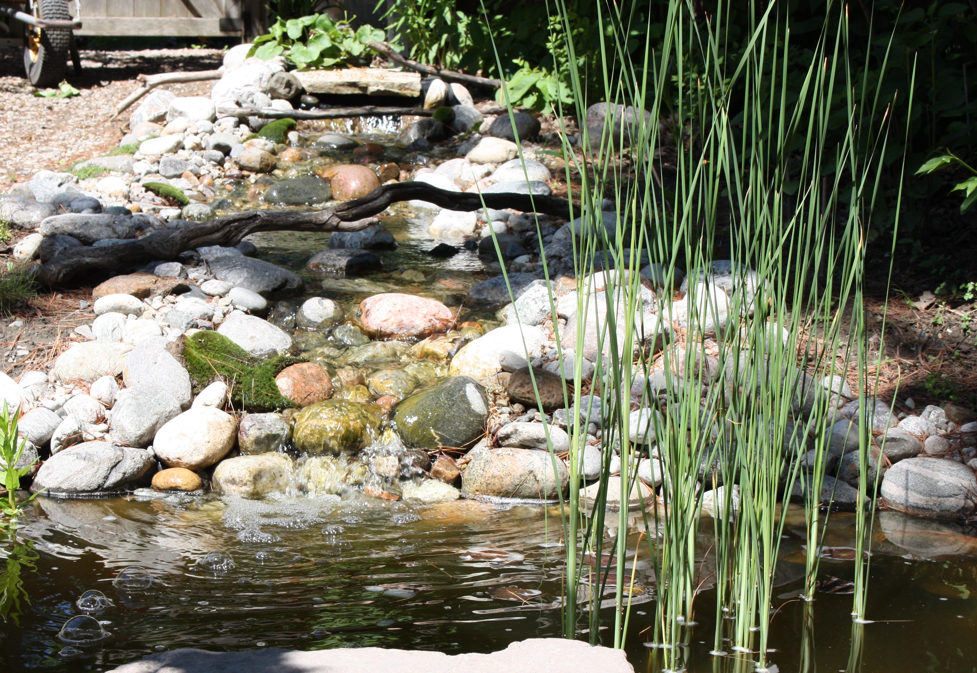 Building our stream and pond – The Corner Pollinator Garden and ...