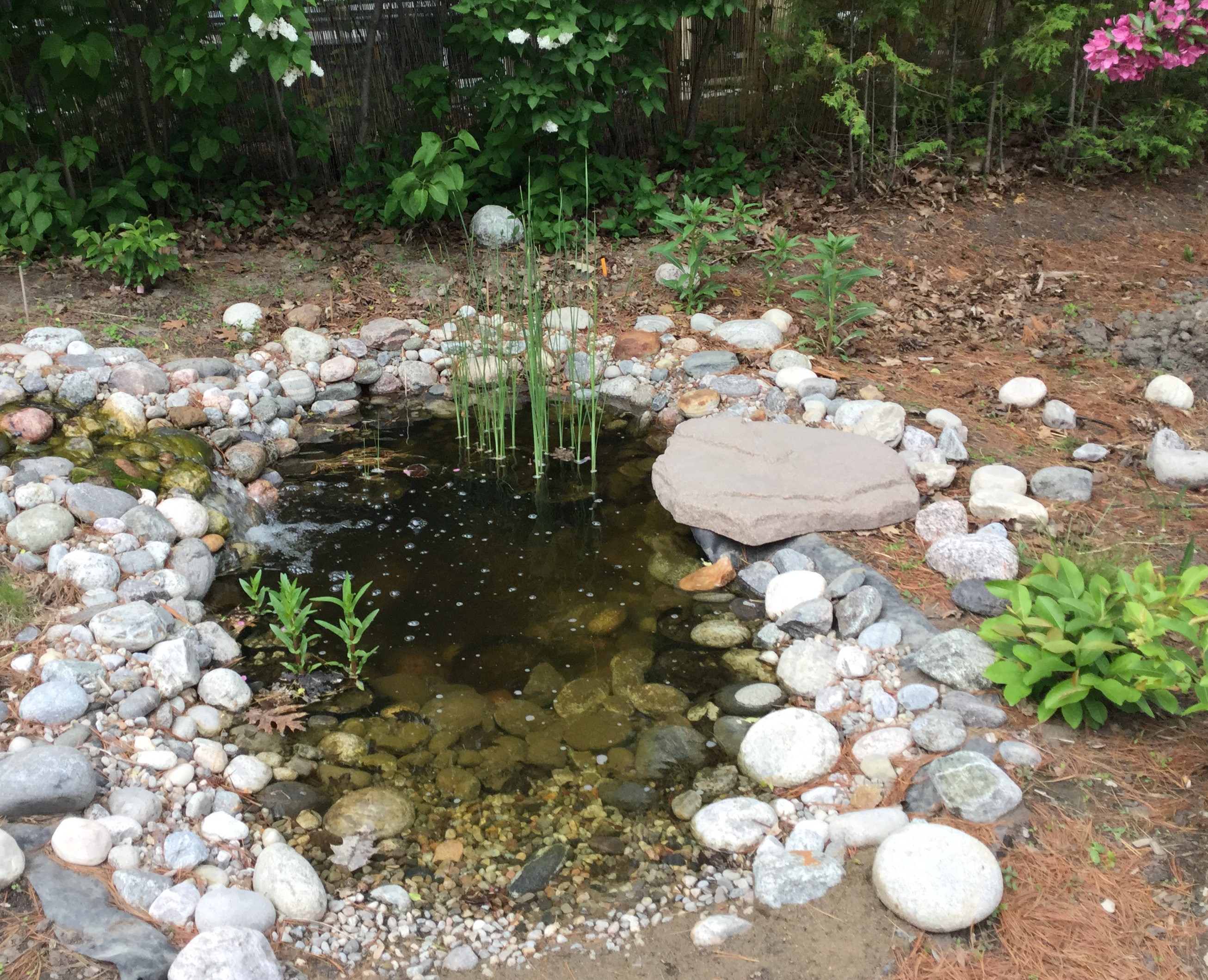Building our stream and pond – The Corner Pollinator Garden and ...