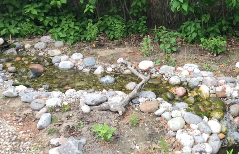 Building our stream and pond – The Corner Pollinator Garden and ...
