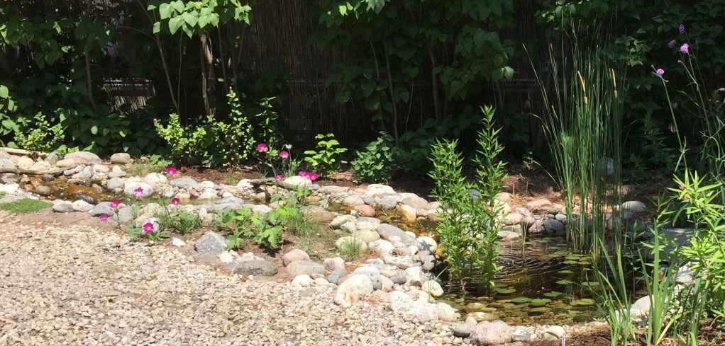Building our stream and pond – The Corner Pollinator Garden and ...