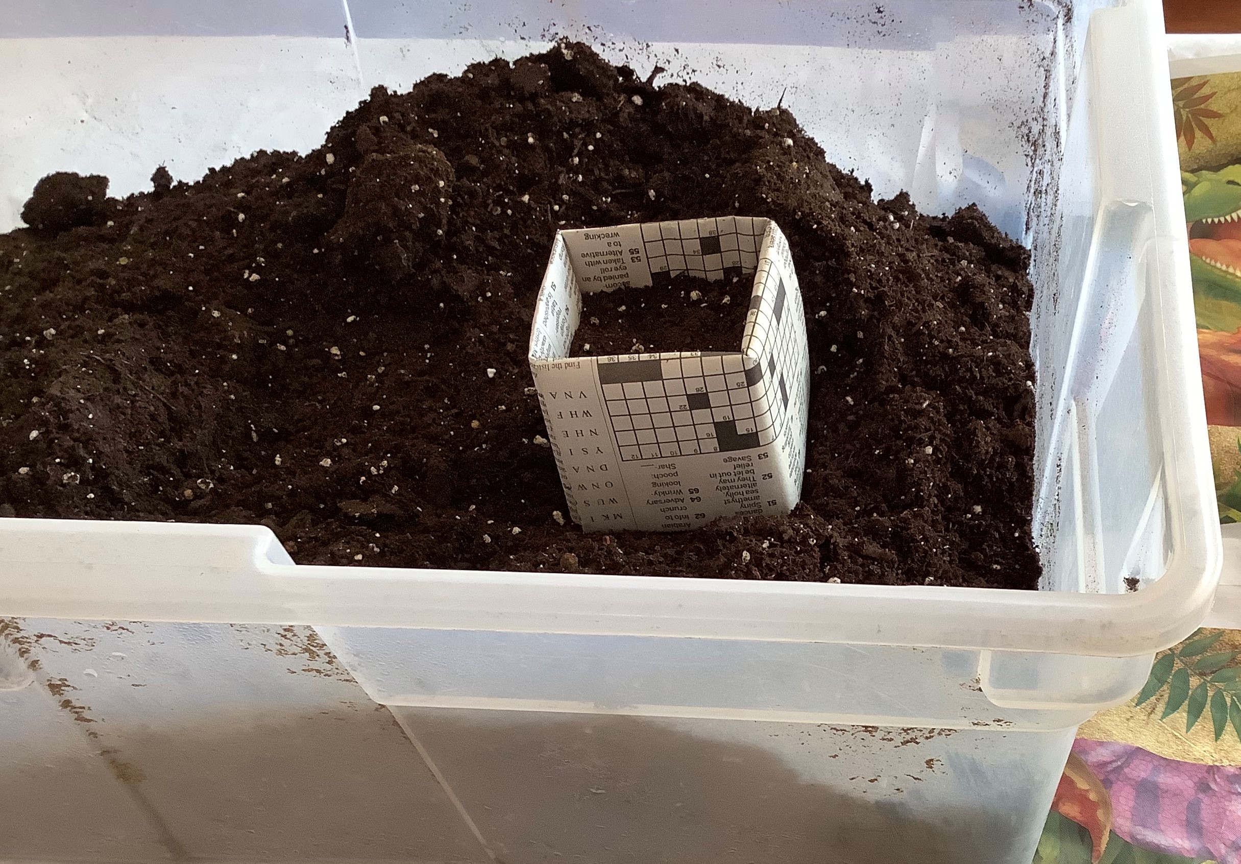 Getting my act together, part 2: stratifying and planting – The Corner ...