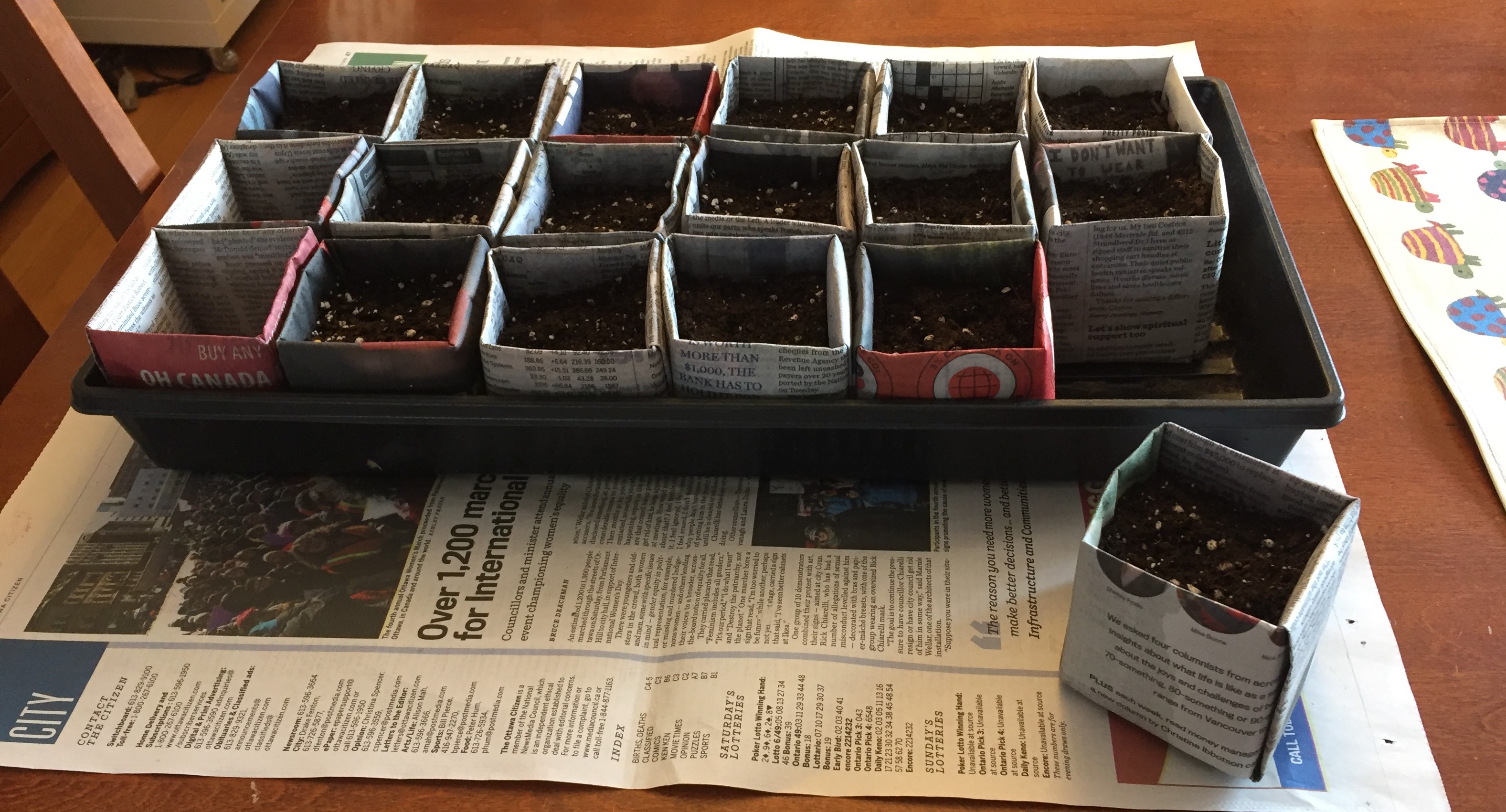 Getting my act together, part 2: stratifying and planting – The Corner ...