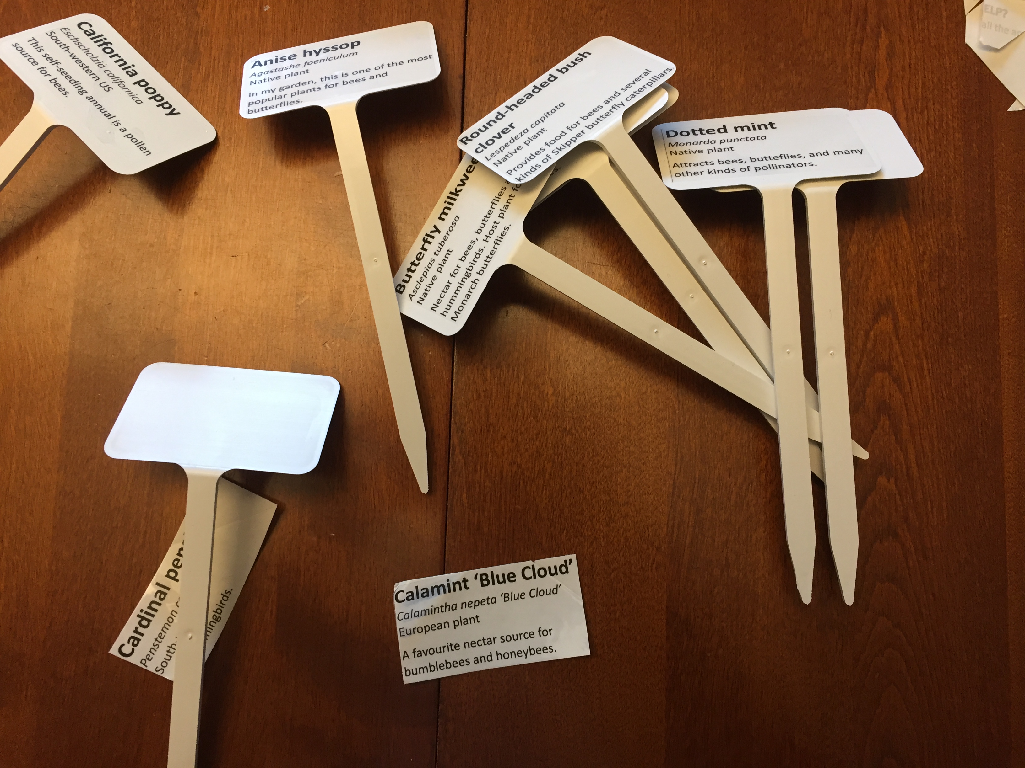 DIY plant labels – The Corner Pollinator Garden and Wildlife Habitat