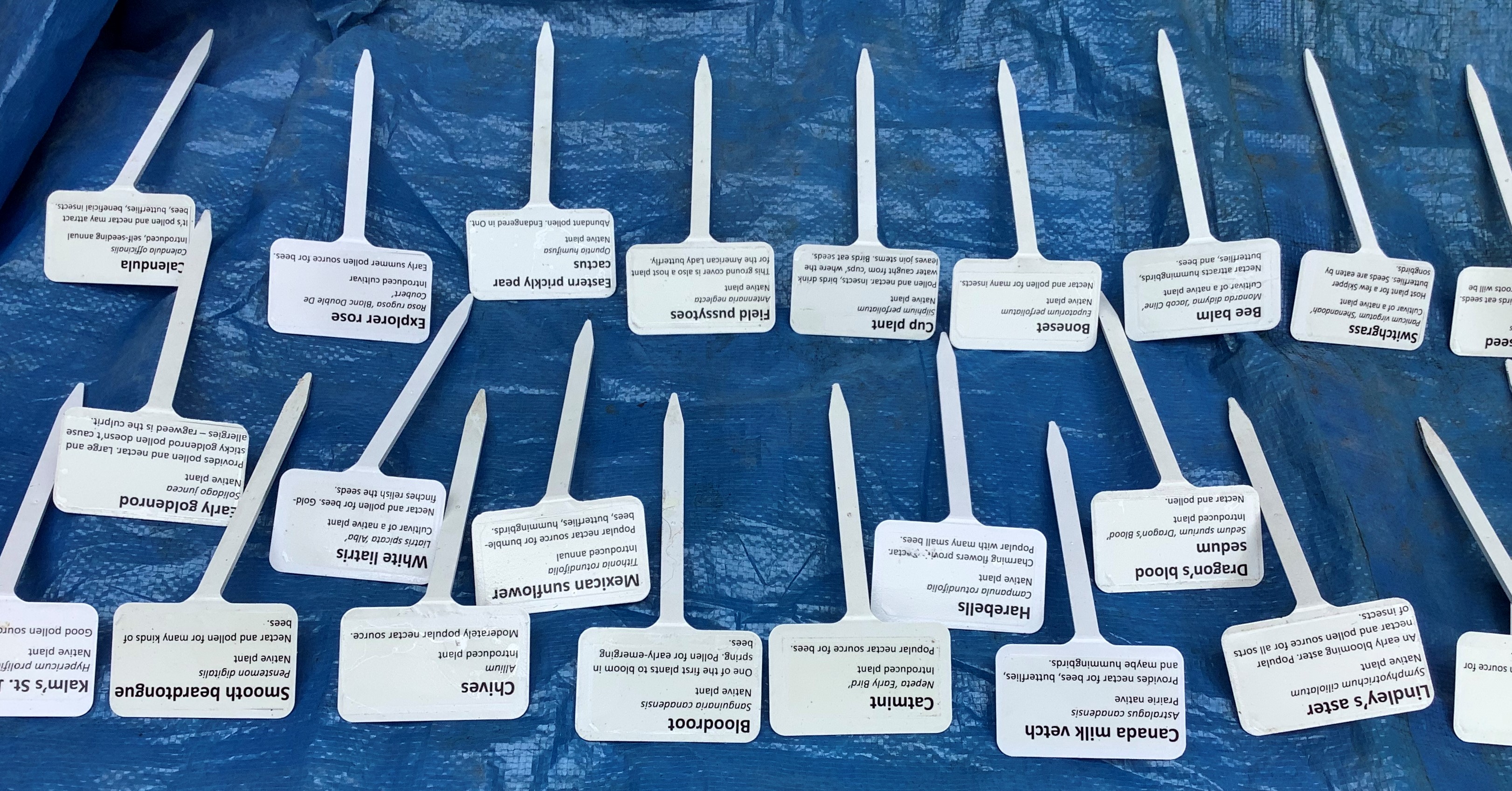 DIY plant labels – The Corner Pollinator Garden and Wildlife Habitat